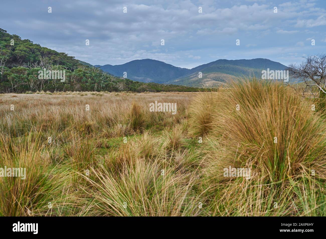 Landscape, Tidal River, Wilsons Promontory National Park, Victoria ...
