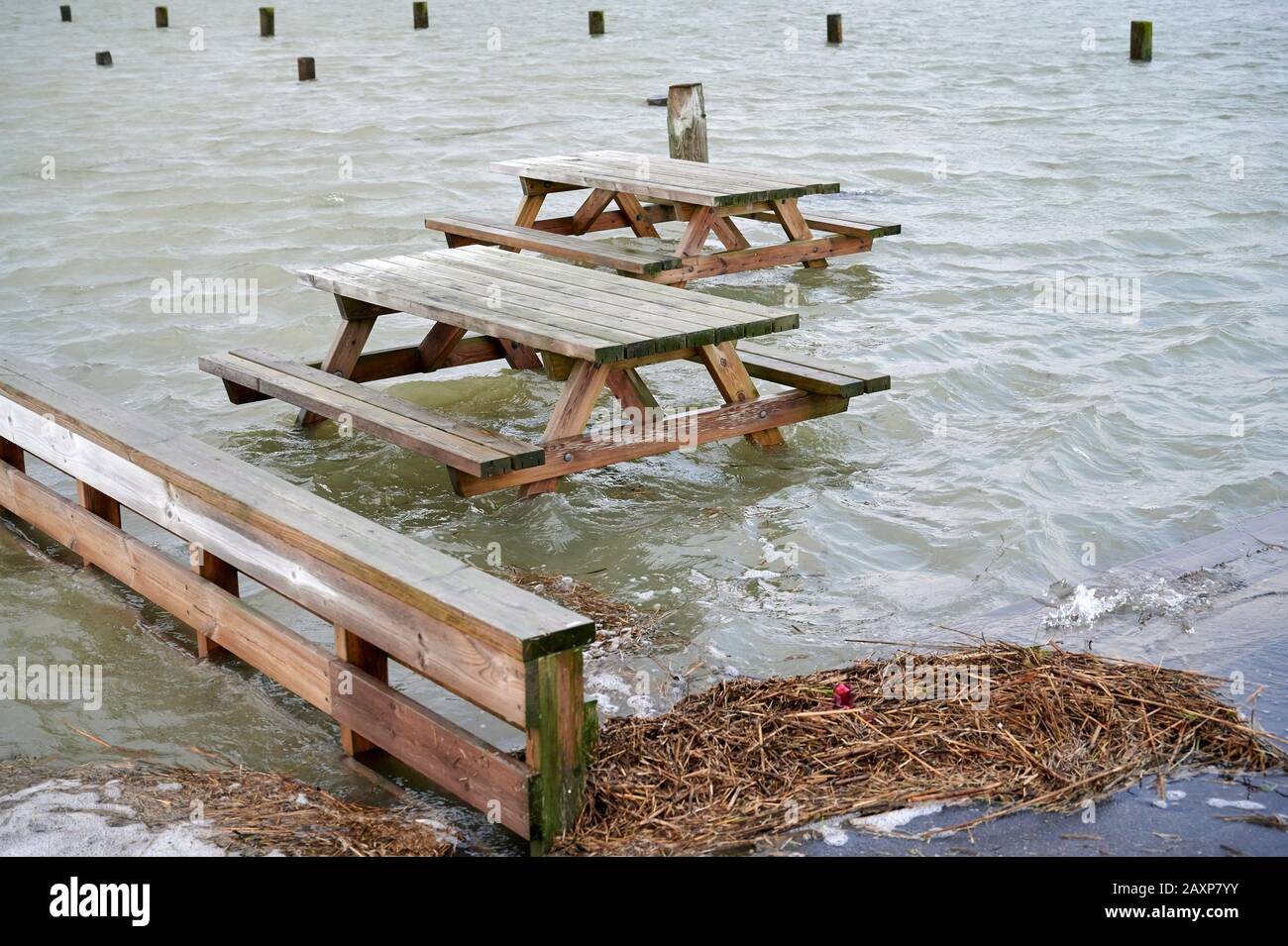 Løgstør, Denmark, 12th January 2020: The consequences of the storm ...