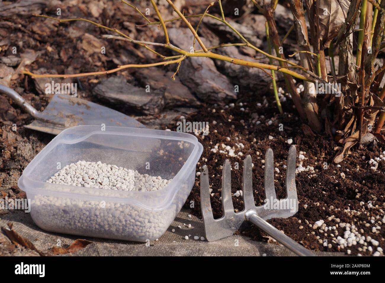 Homemade Blueberry Rake