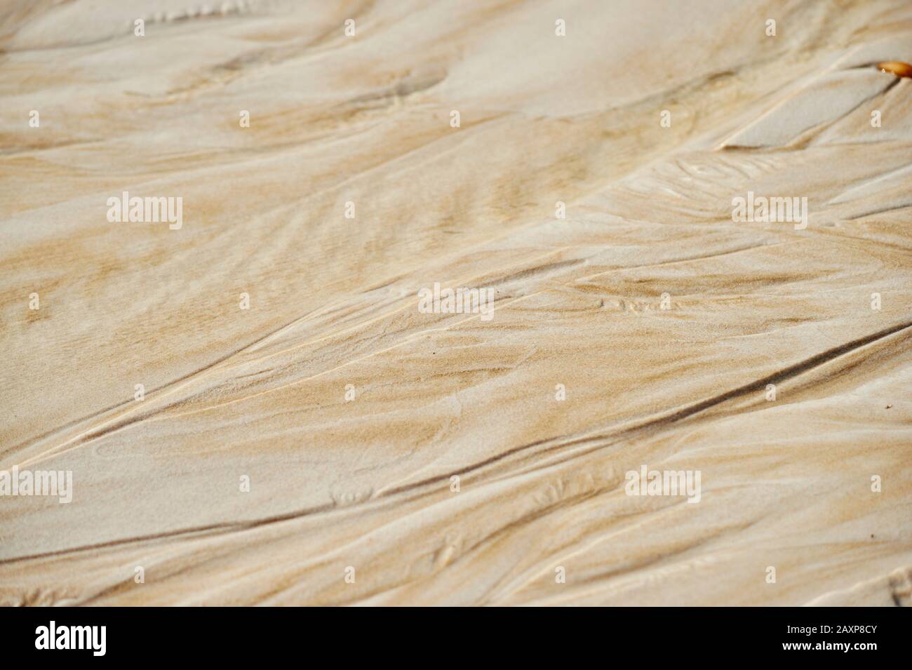 Landscape, Sand, Squeaky Beach, Wilsons Promontory National Park ...