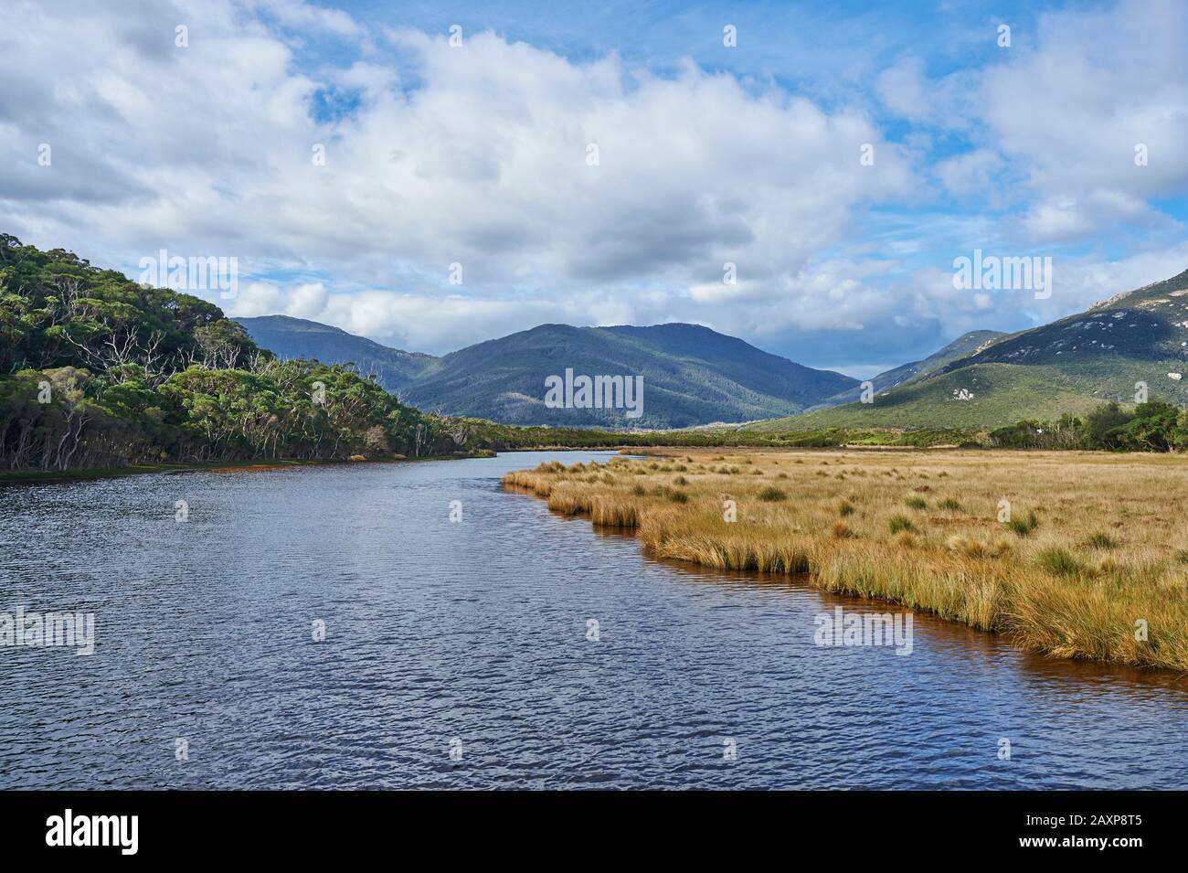 Landscape, Tidal River, Wilsons Promontory National Park, Victoria ...