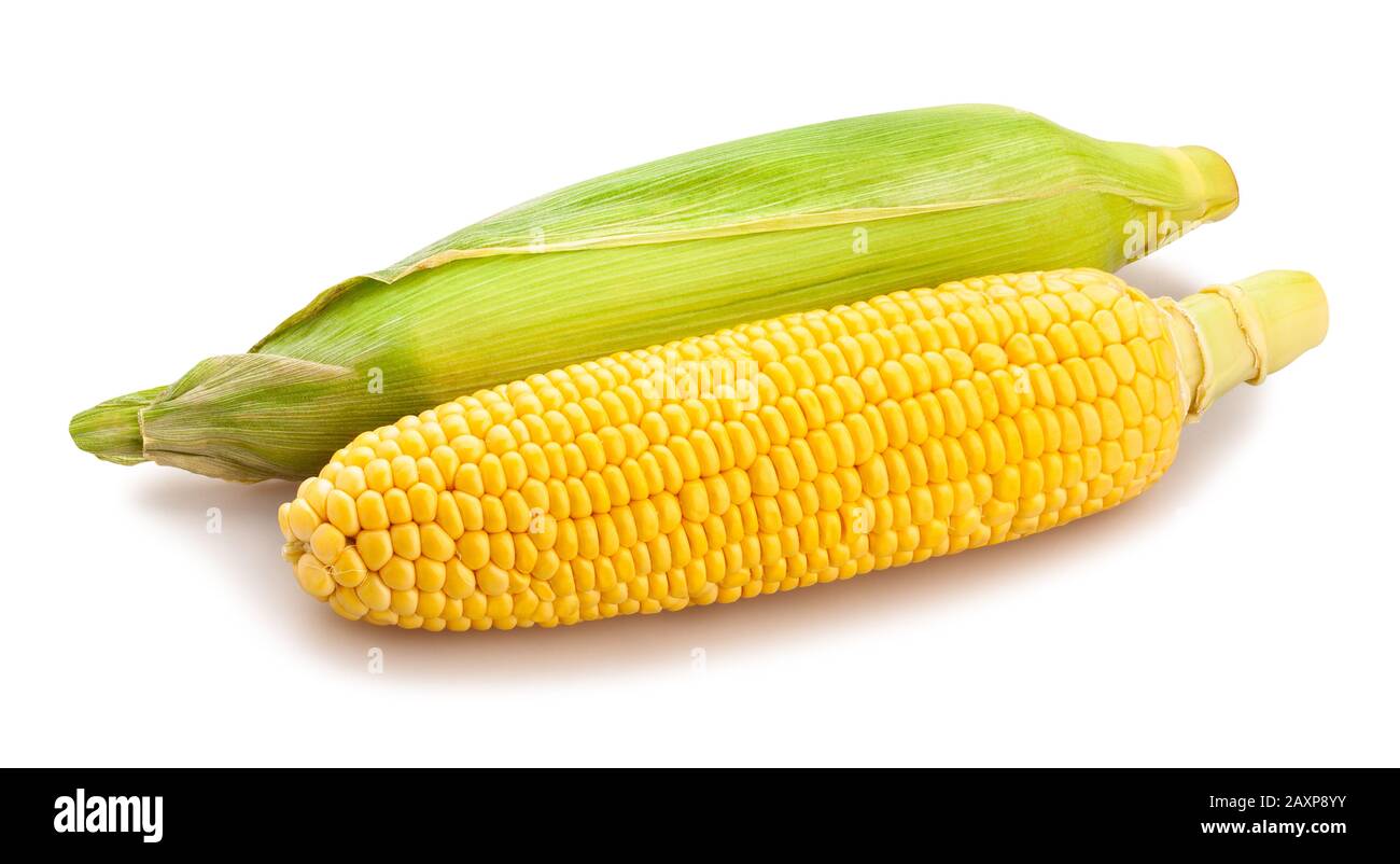 corn path isolated on white Stock Photo - Alamy