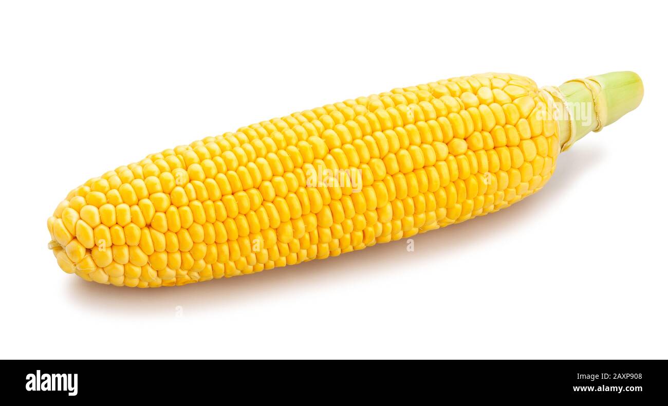 corn path isolated on white Stock Photo - Alamy