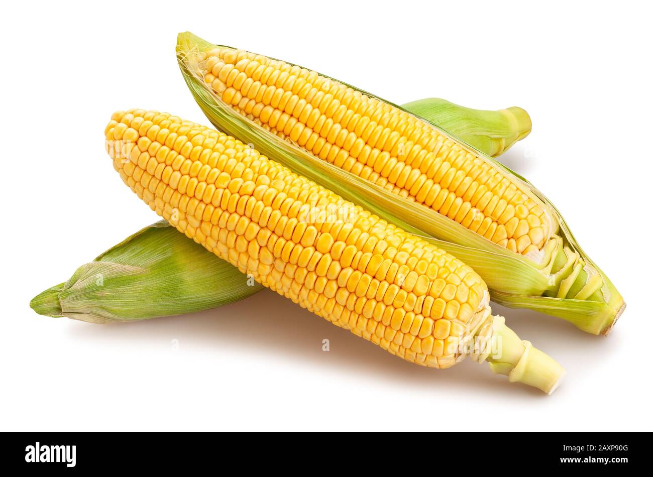 corn path isolated on white Stock Photo - Alamy