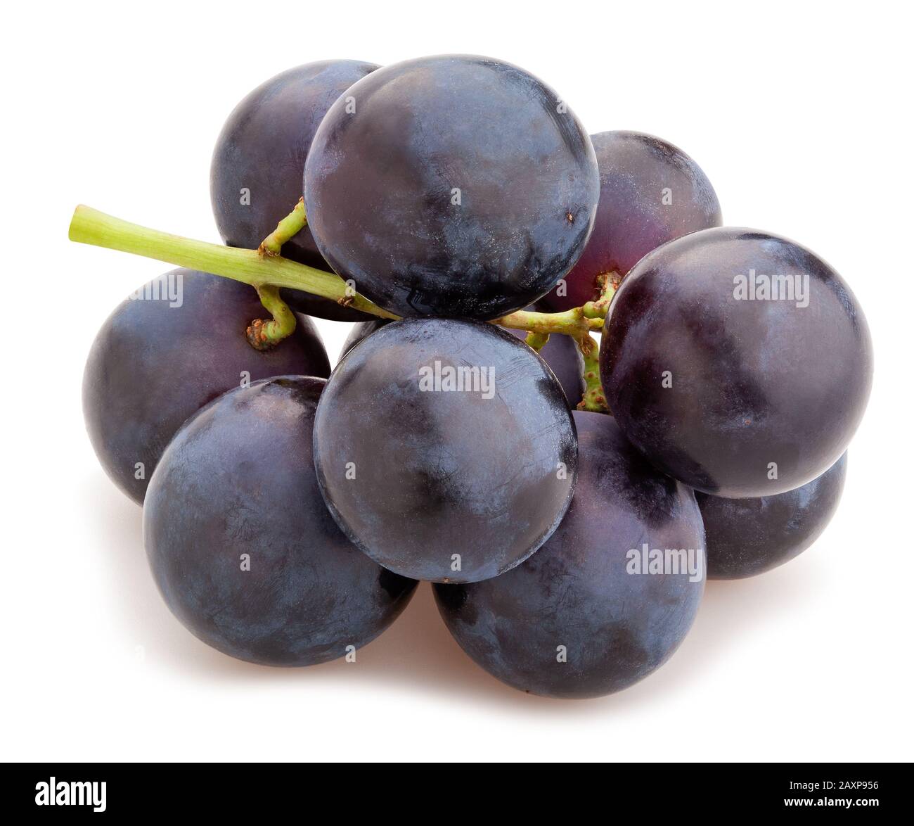 blue grapes path isolated on white Stock Photo - Alamy