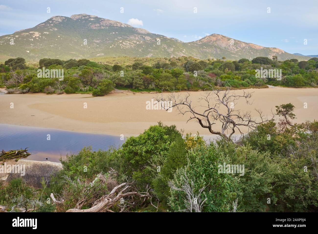 Landscape, Tidal River, Wilsons Promontory National Park, Victoria ...