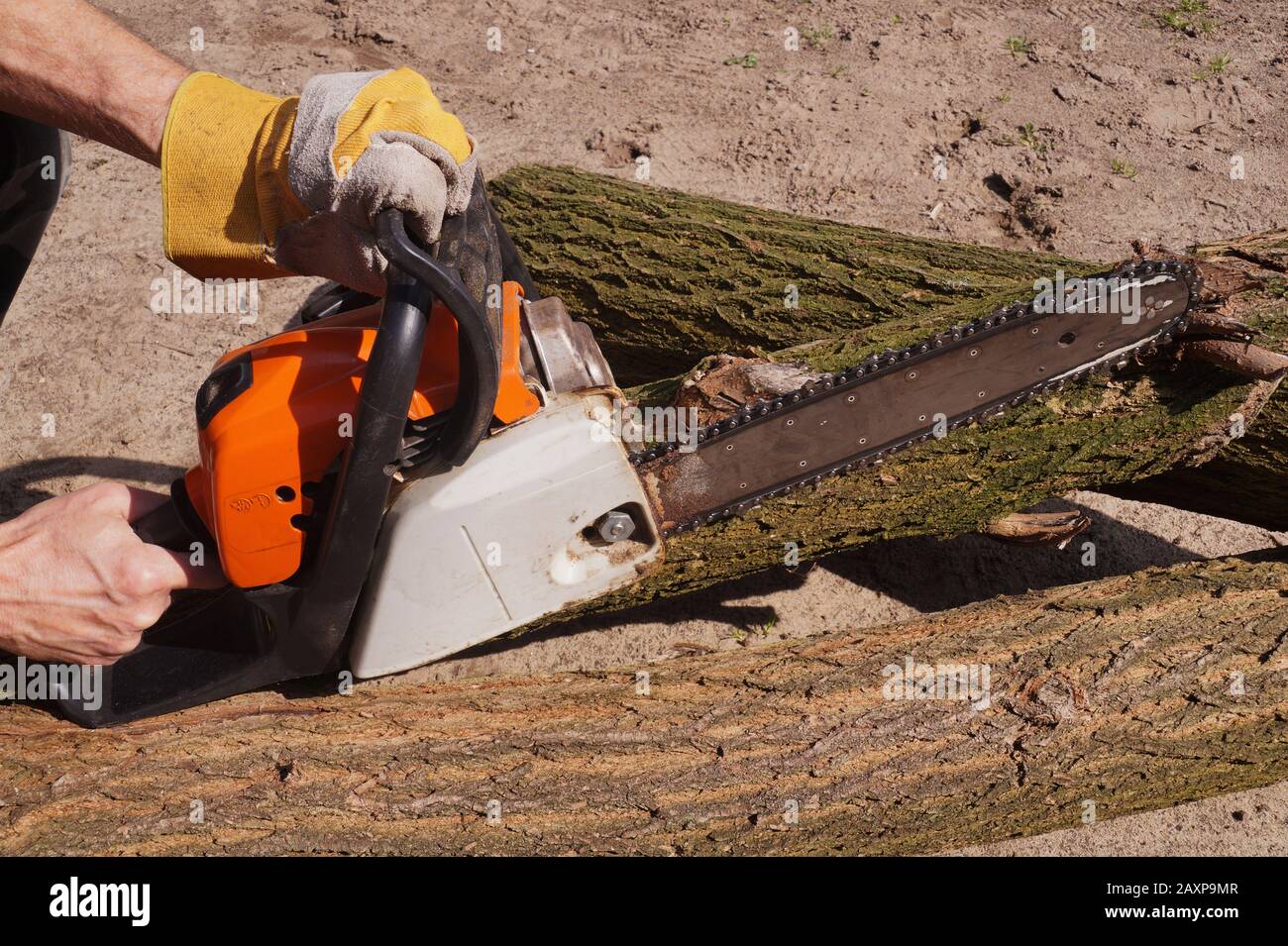 Lumberjack holding a chain saw. Gas-Powered Chain Saw Stock Photo - Alamy