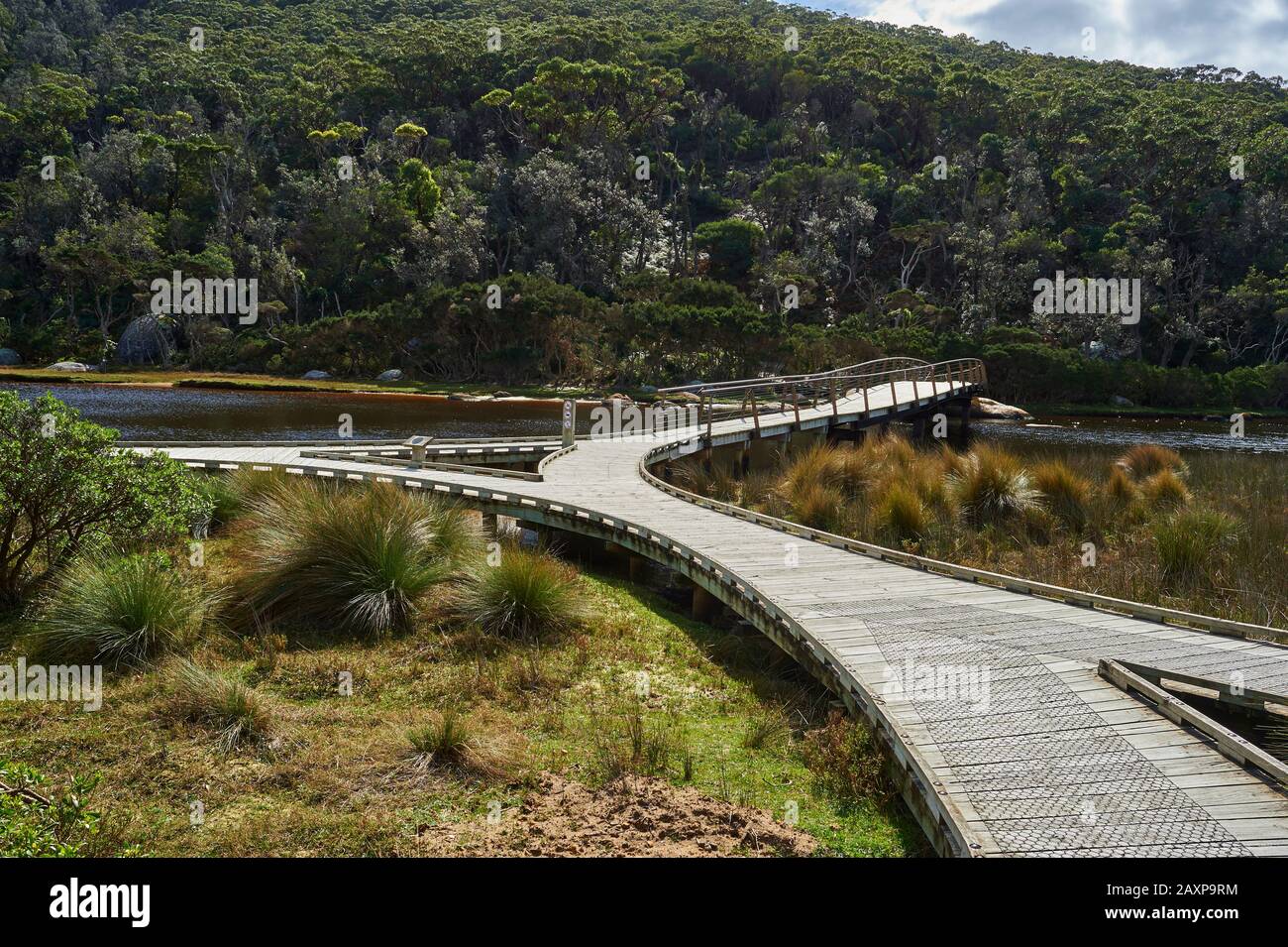Landscape, Bridge, Tidal River, Wilsons Promontory National Park ...