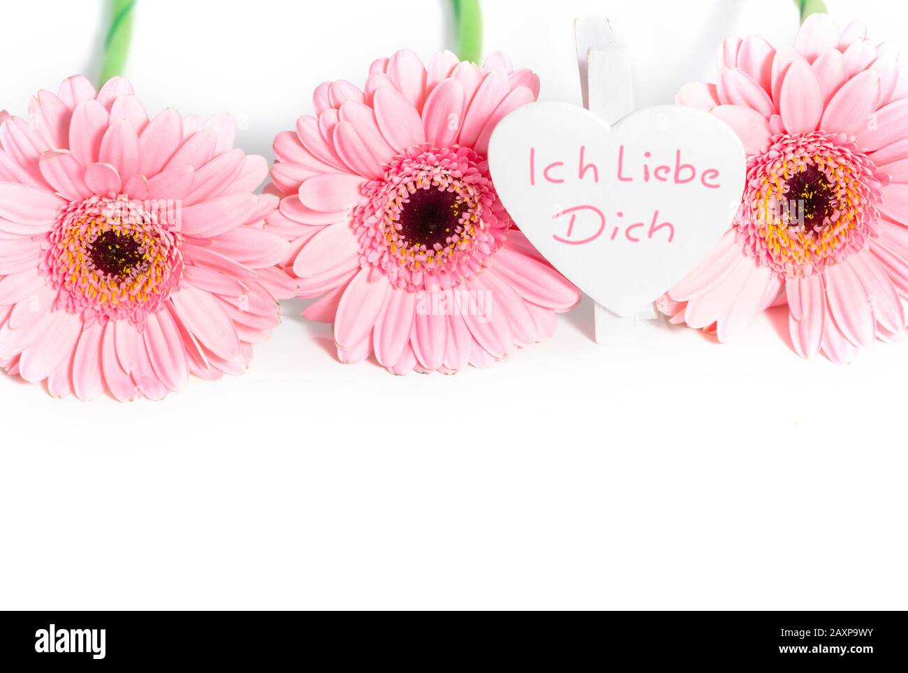 Gerbera and heart ' I love you ' Stock Photo - Alamy