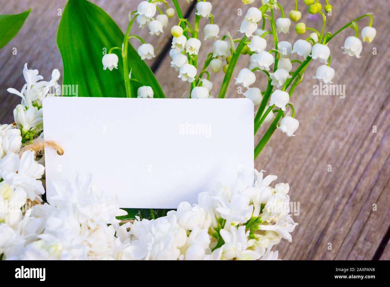 Surprise lily hi-res stock photography and images - Alamy