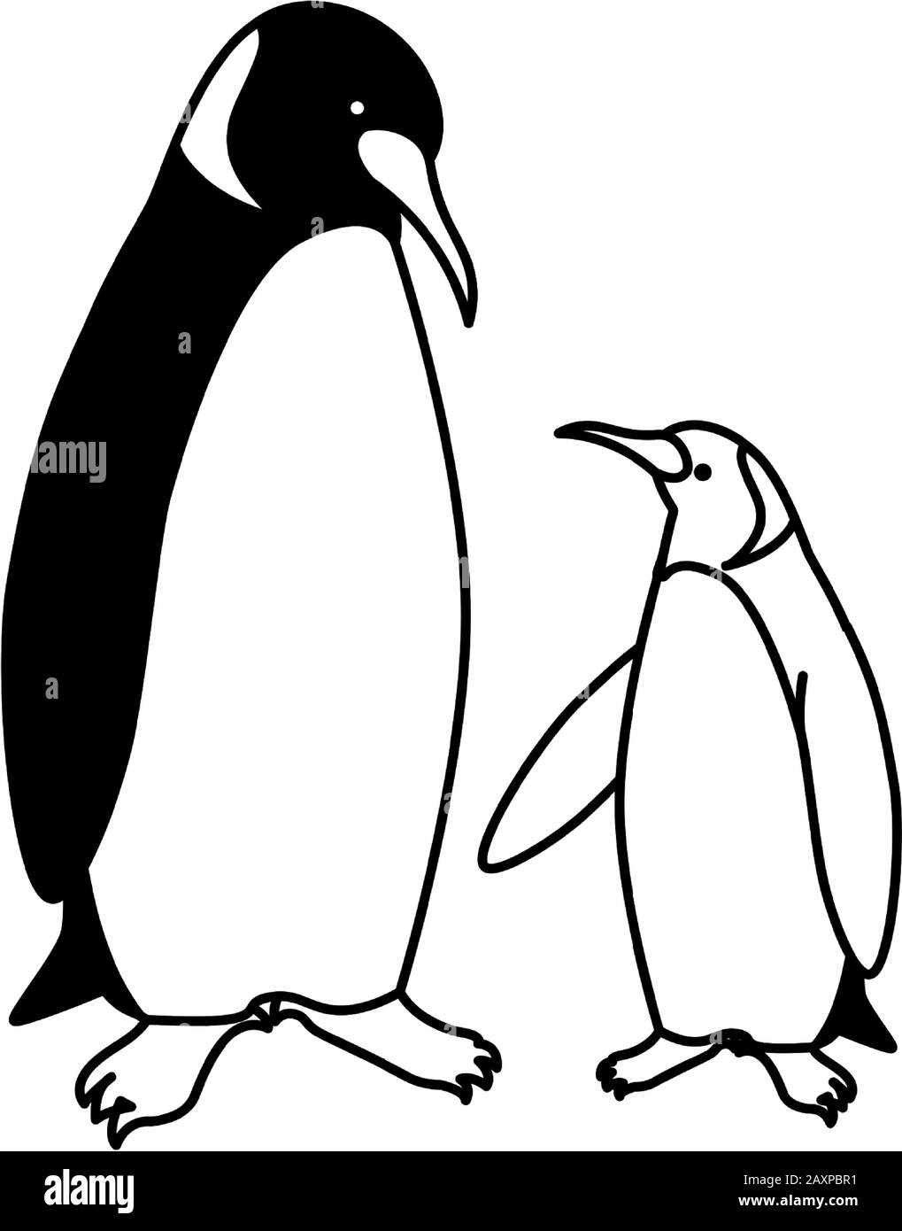 emperor penguins couple on white background vector illustration design ...