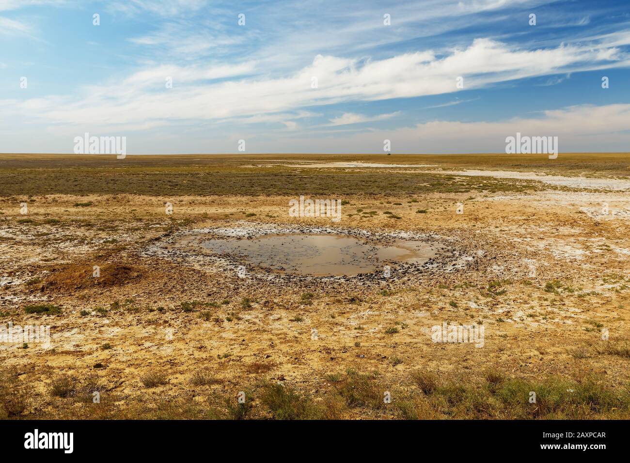 small puddle in the steppe, Kazakhstan. drying mud puddle Stock Photo ...