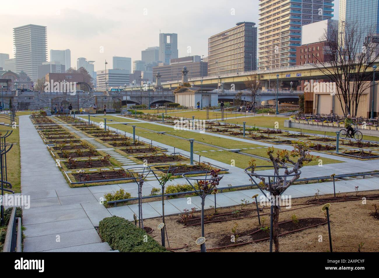 Beautiful Nakanoshima Rose Garden garden in Osaka Osaka. Beginning of ...