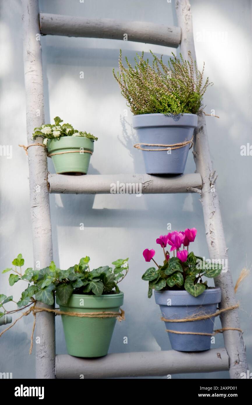 Autumn decoration, flower ladder Stock Photo - Alamy