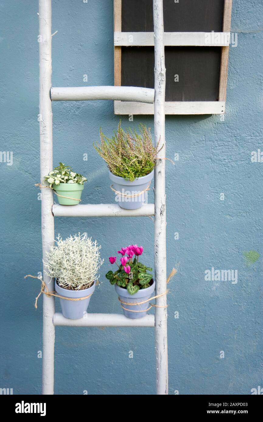 Autumn decoration, flower ladder Stock Photo - Alamy