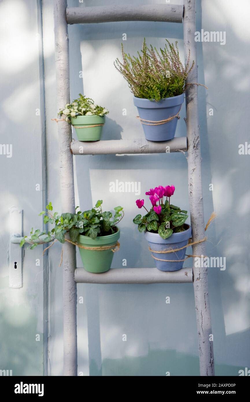 Autumn decoration, flower ladder Stock Photo - Alamy