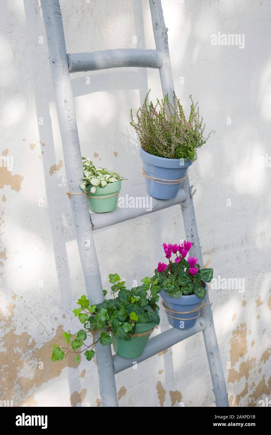 Autumn decoration, flower ladder Stock Photo - Alamy