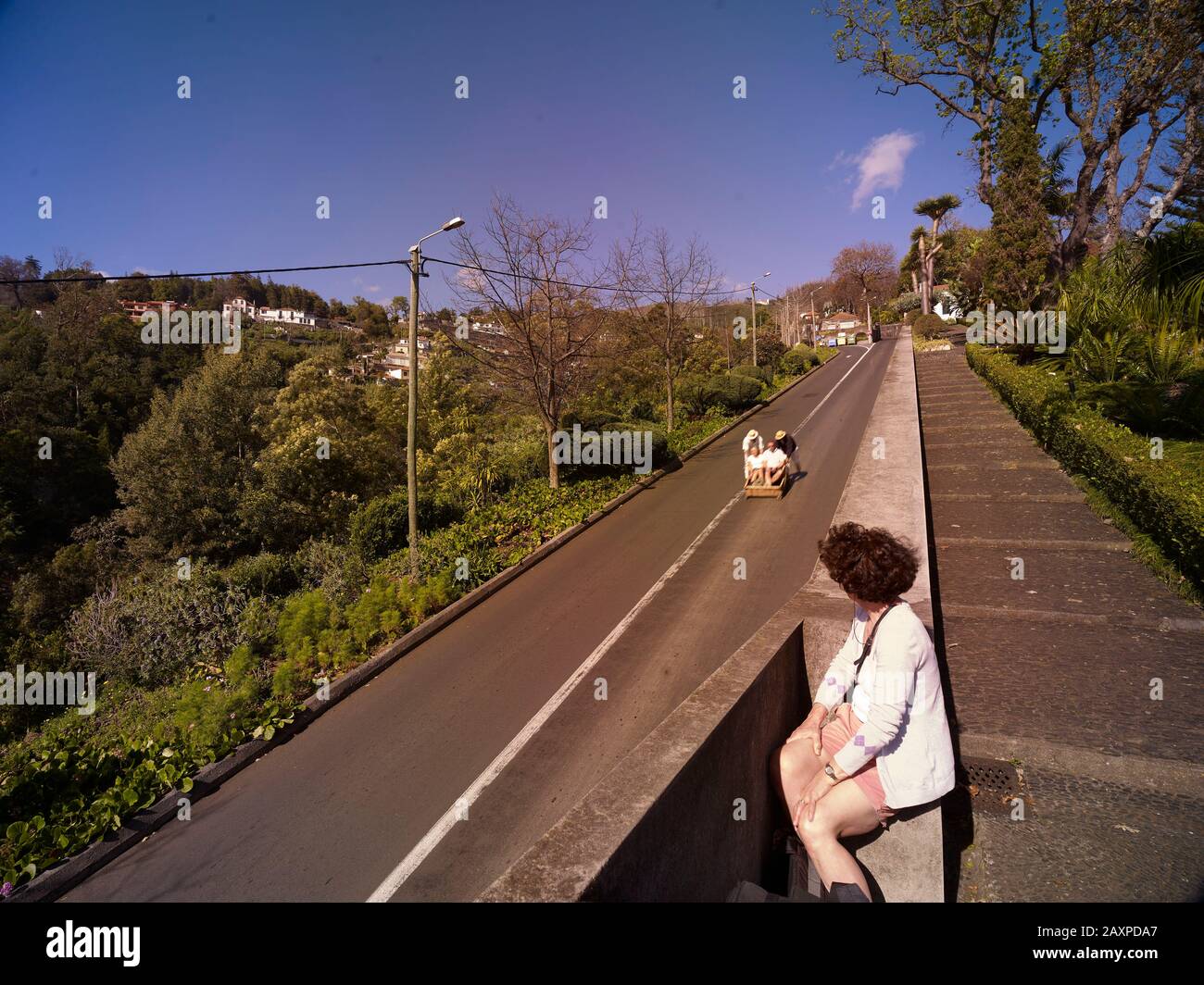 Watching the basket cars tobogan run from the Monte gardens, Funchal ...