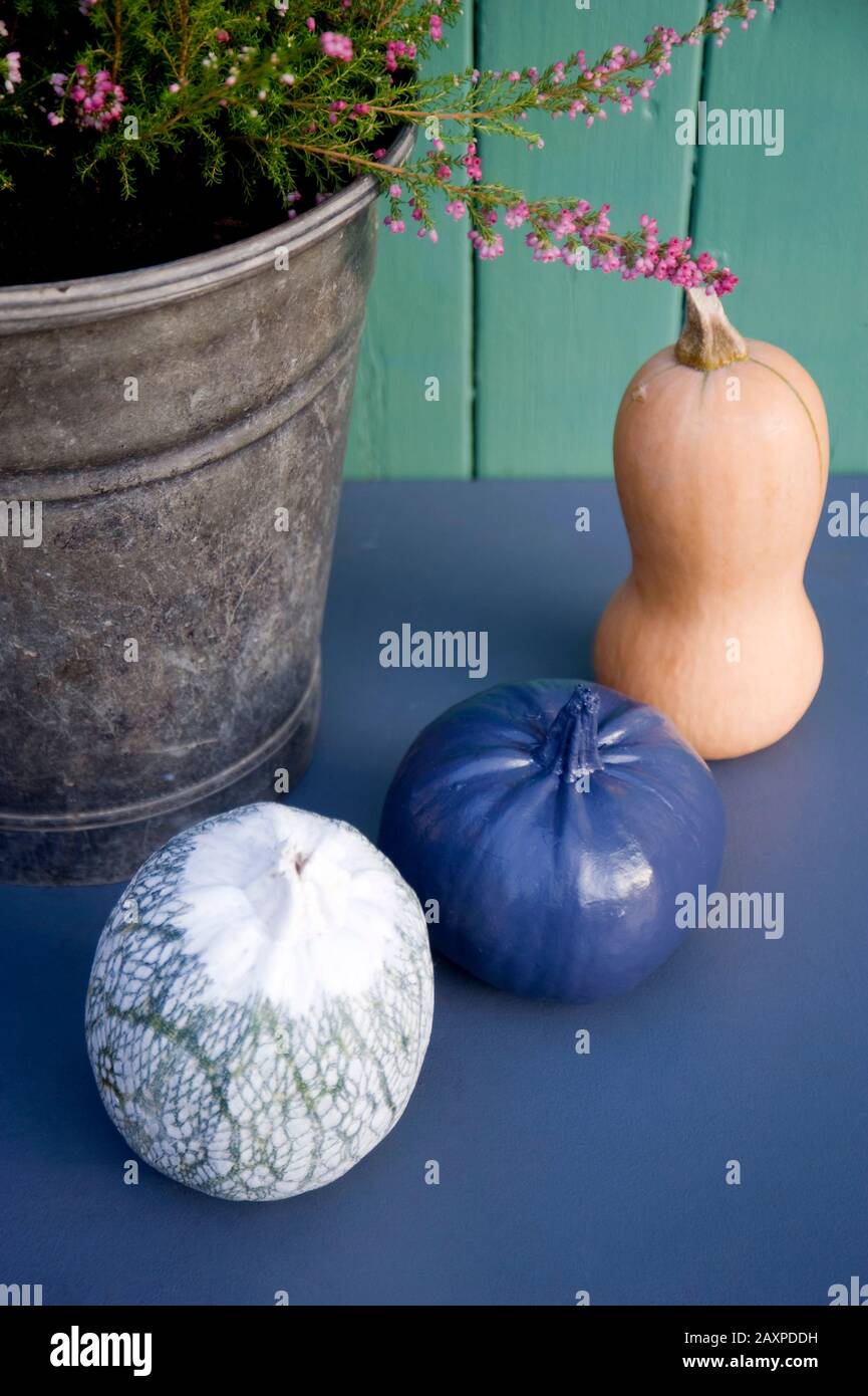 DIY autumn decoration with heather and ornamental squash Stock Photo ...