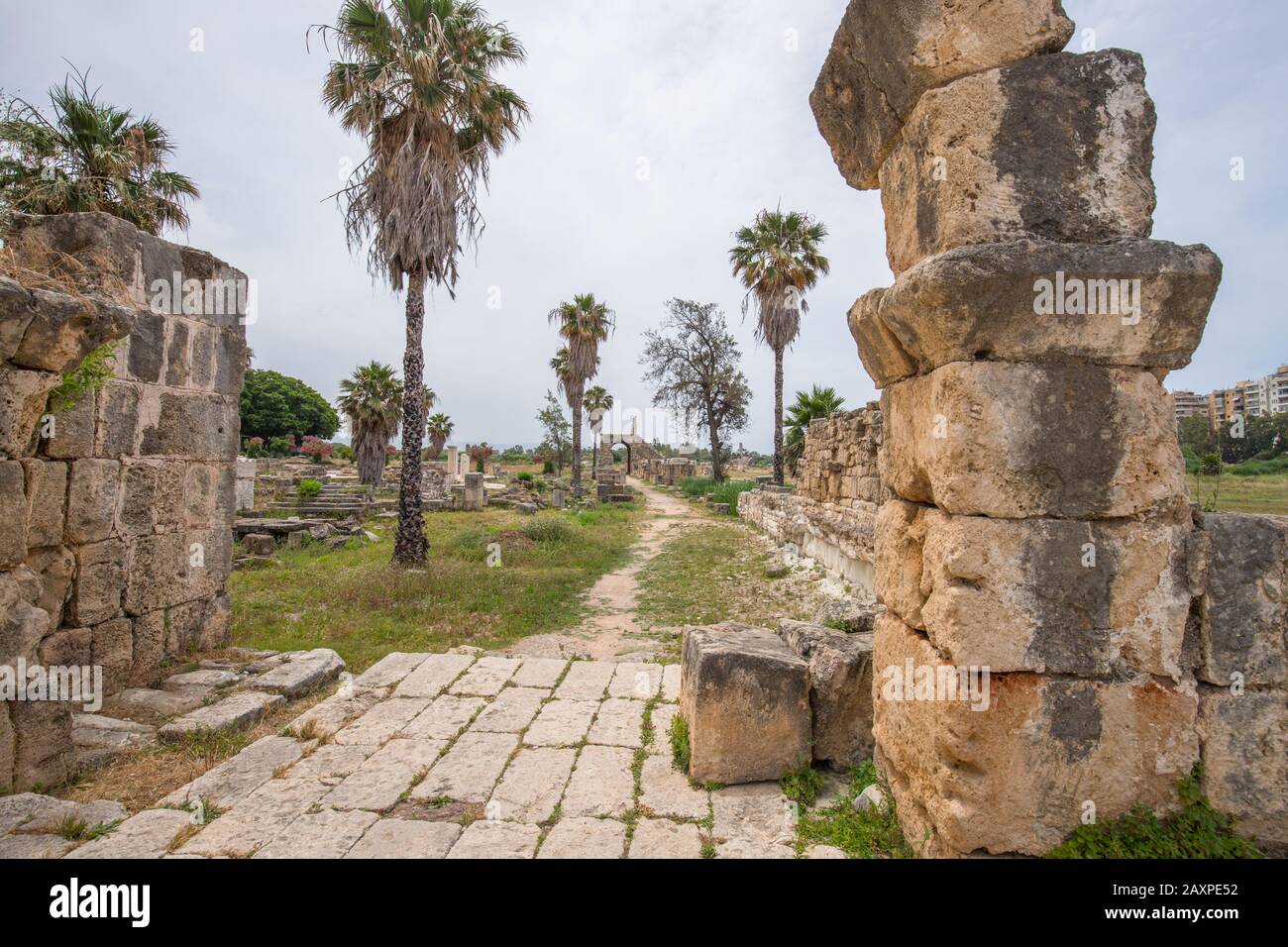 Ancient Tyre High Resolution Stock Photography and Images - Alamy
