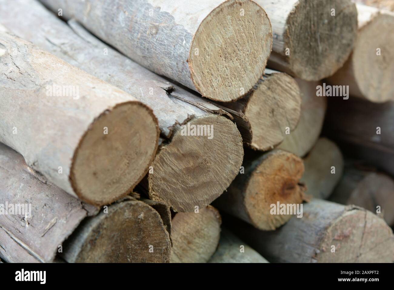 Wooden logs stack, tree stumps background Stock Photo - Alamy