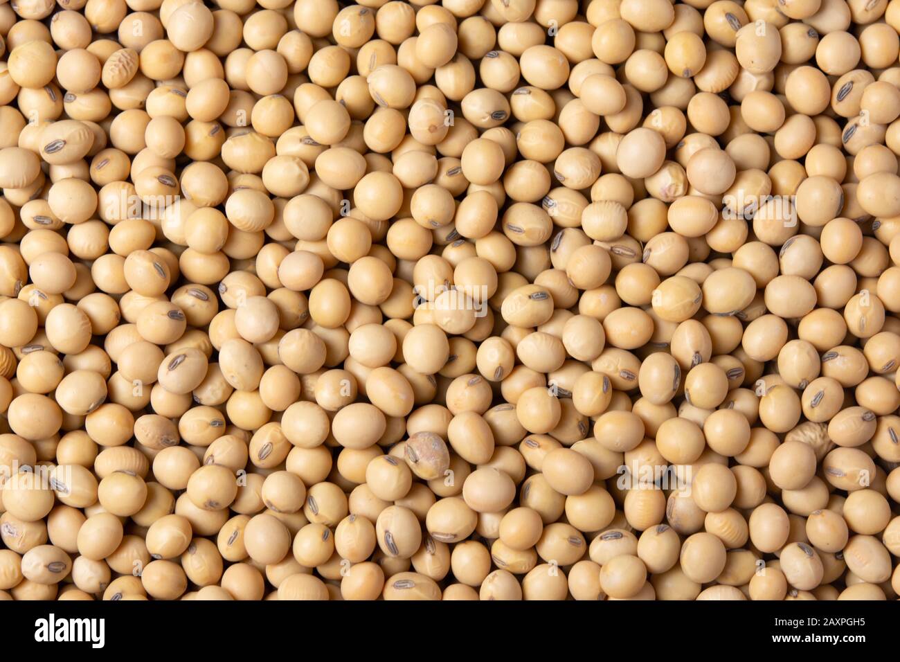 Soybean pattern as for background Stock Photo - Alamy