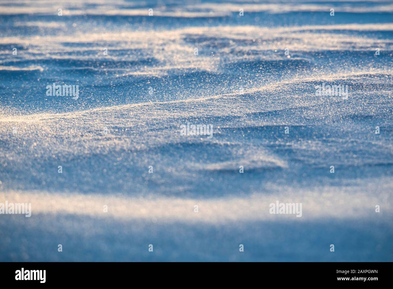 Snow surface in the wind Stock Photo - Alamy