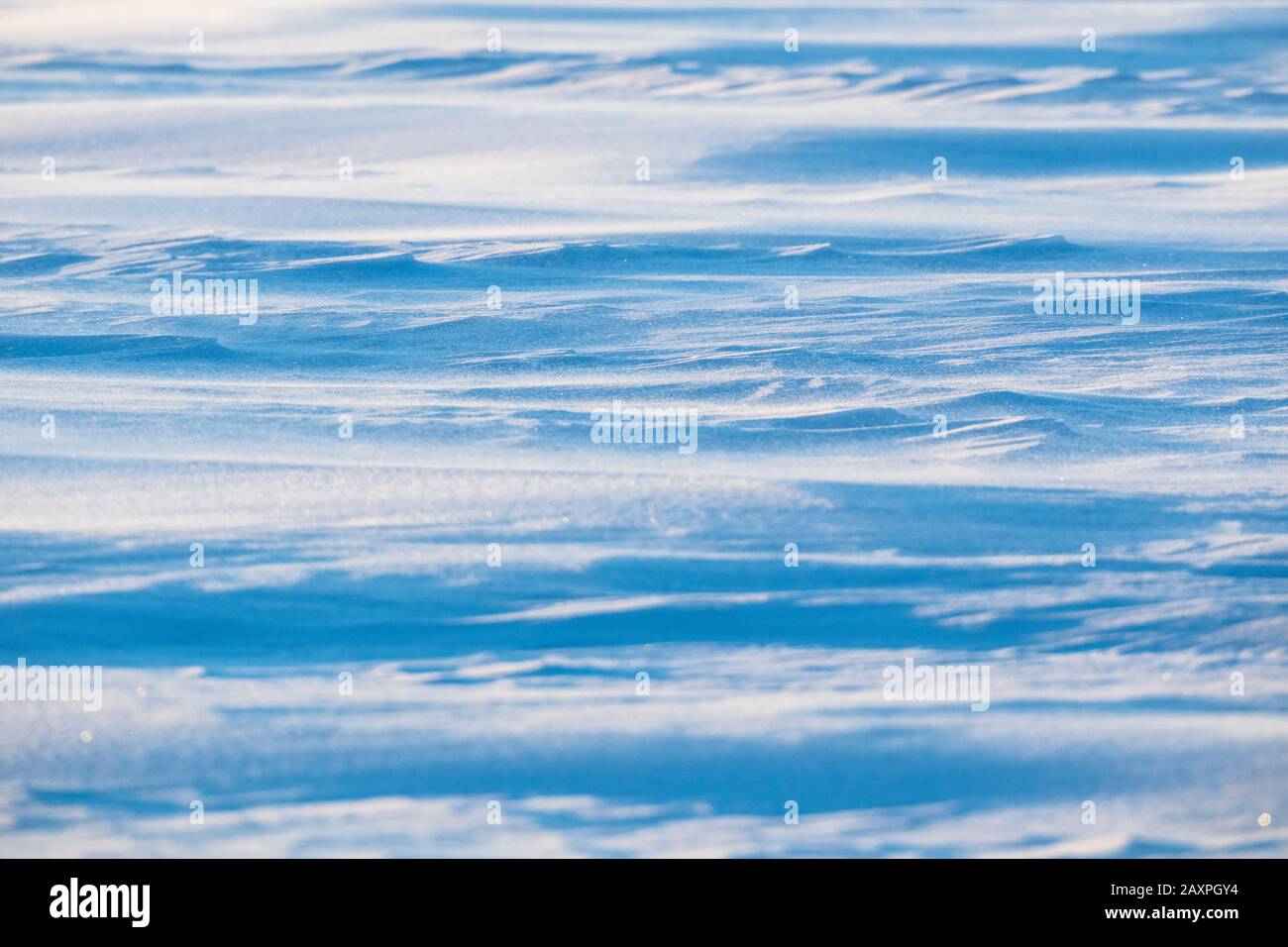 Snow surface in the wind Stock Photo - Alamy