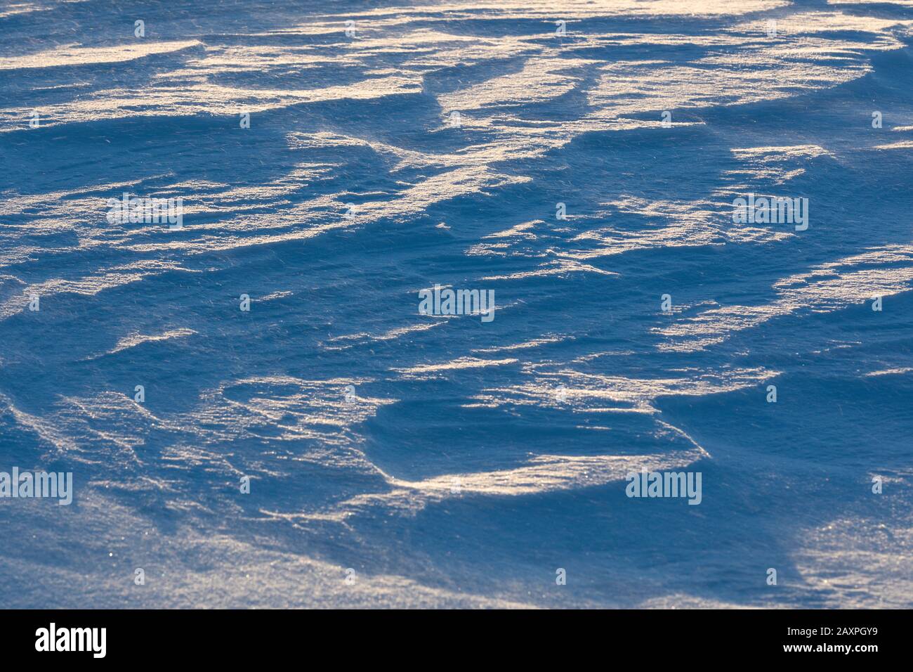Snow surface in the wind Stock Photo - Alamy