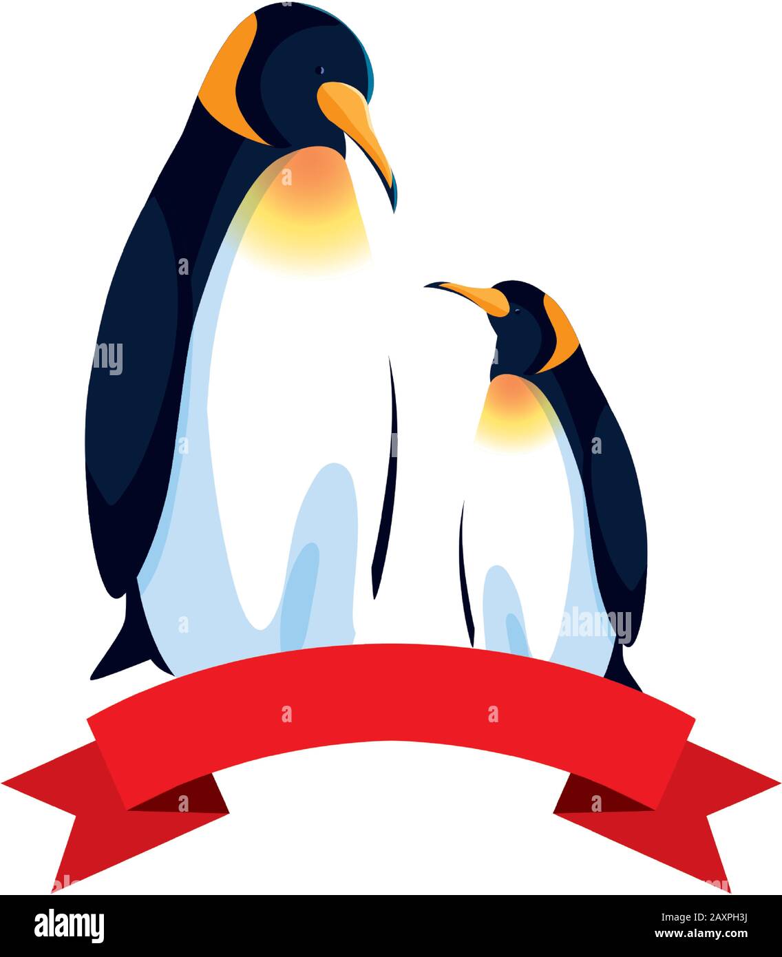 emperor penguins couple on white background vector illustration design ...