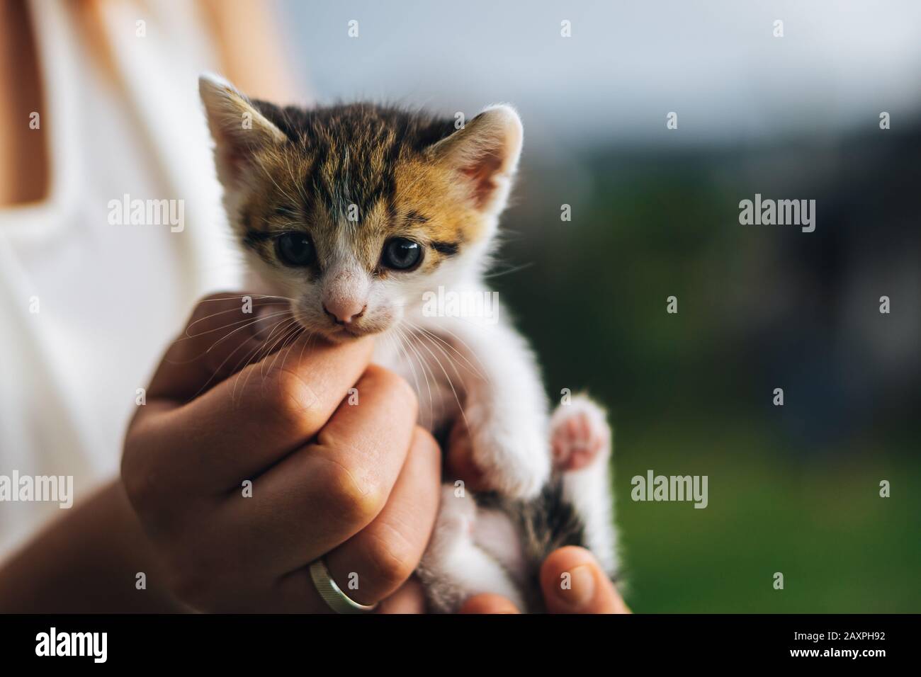 Hand cute hi-res stock photography and images - Alamy