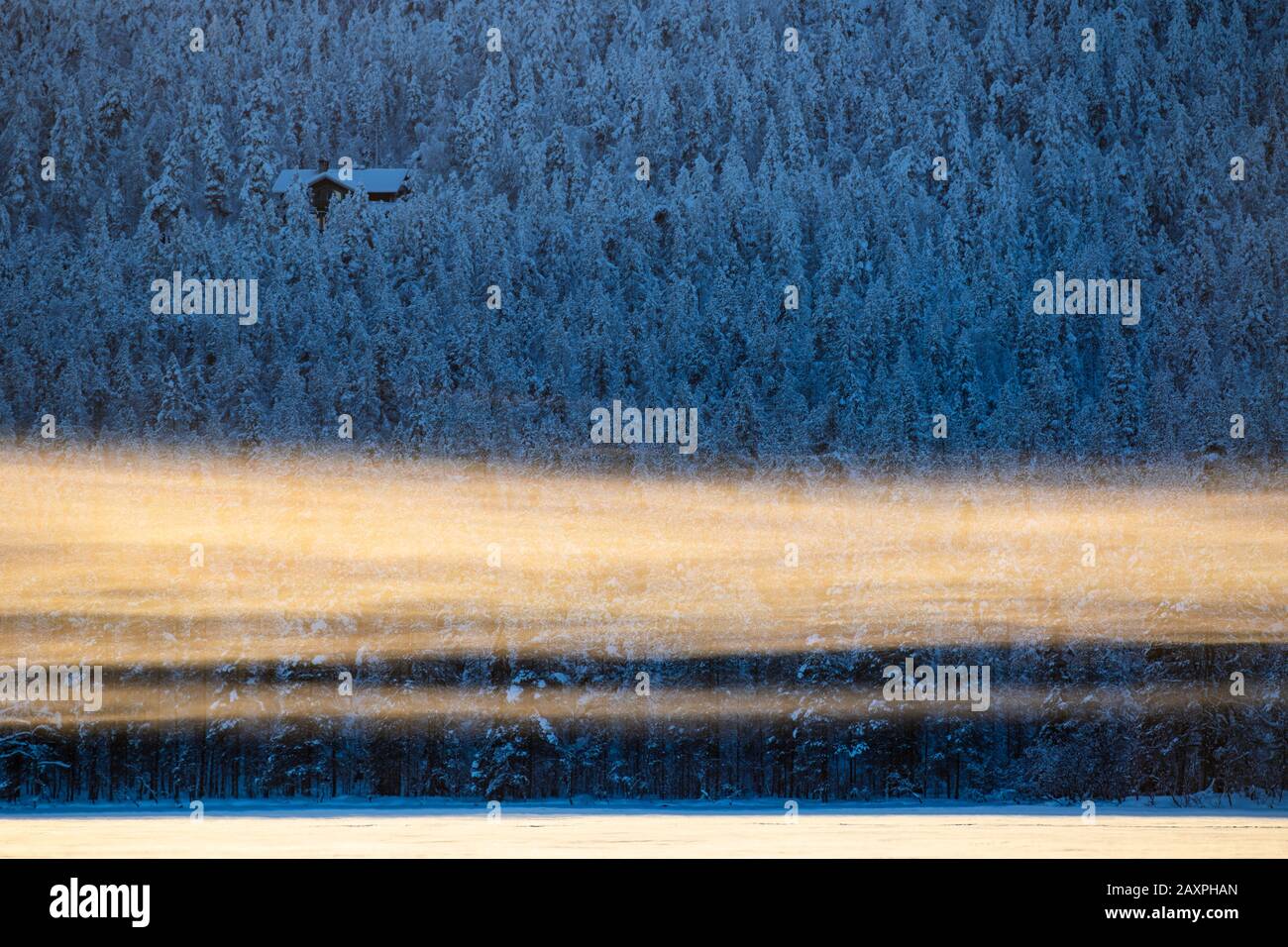 Finland, Lapland, Muonio, landscape with fog in winter Stock Photo - Alamy