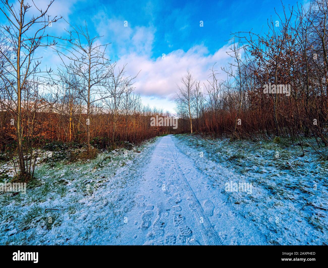 Northern ireland snow scene hi-res stock photography and images - Alamy