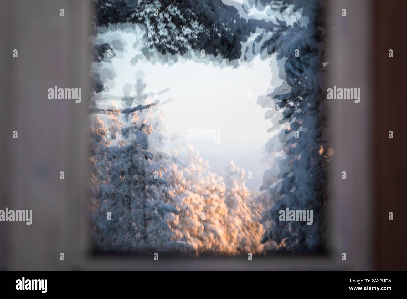 Finland, Lapland, Kittilä, reflection of forest in window Stock Photo ...