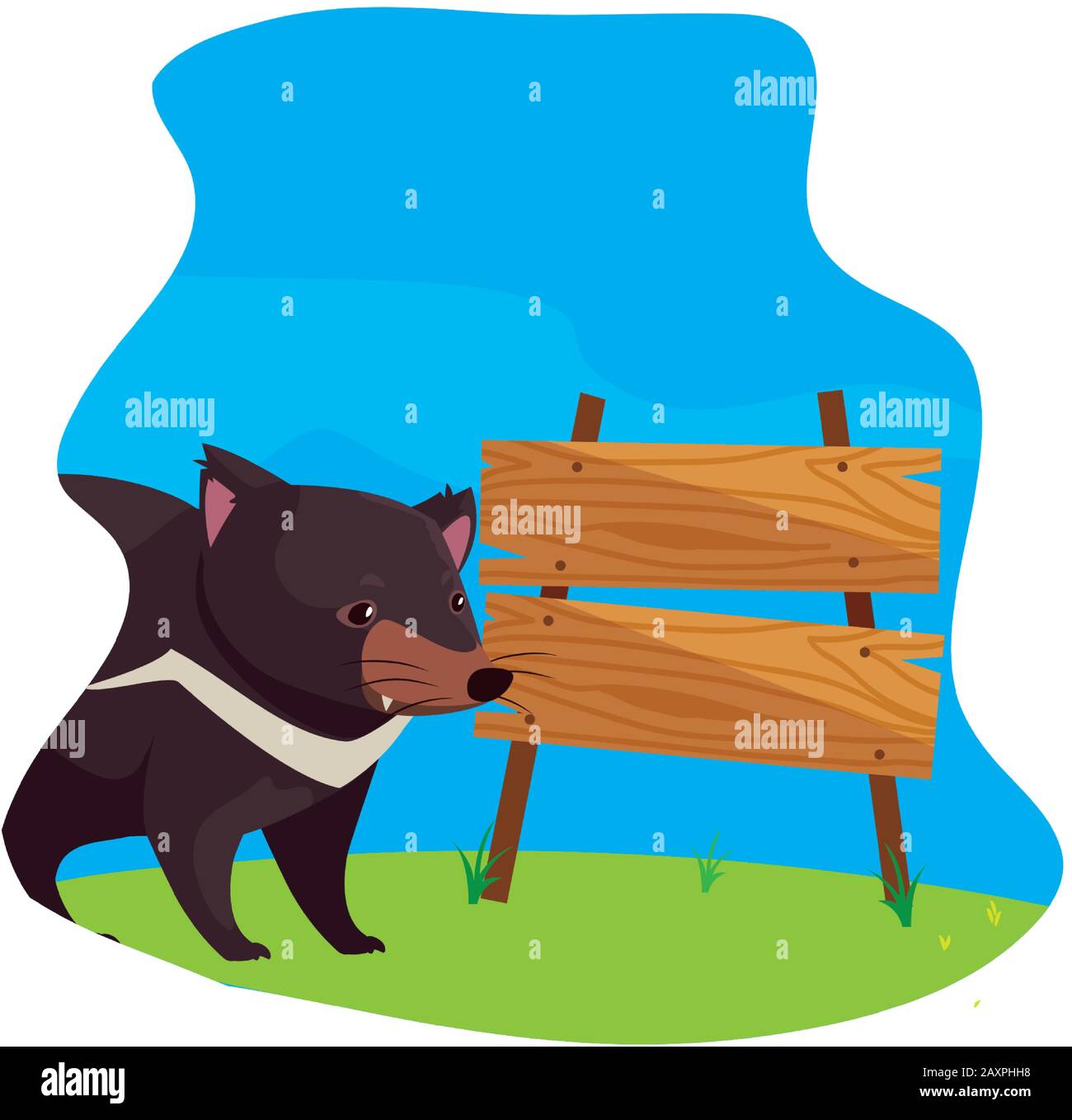 australian tasmanian devil with background landscape vector ...