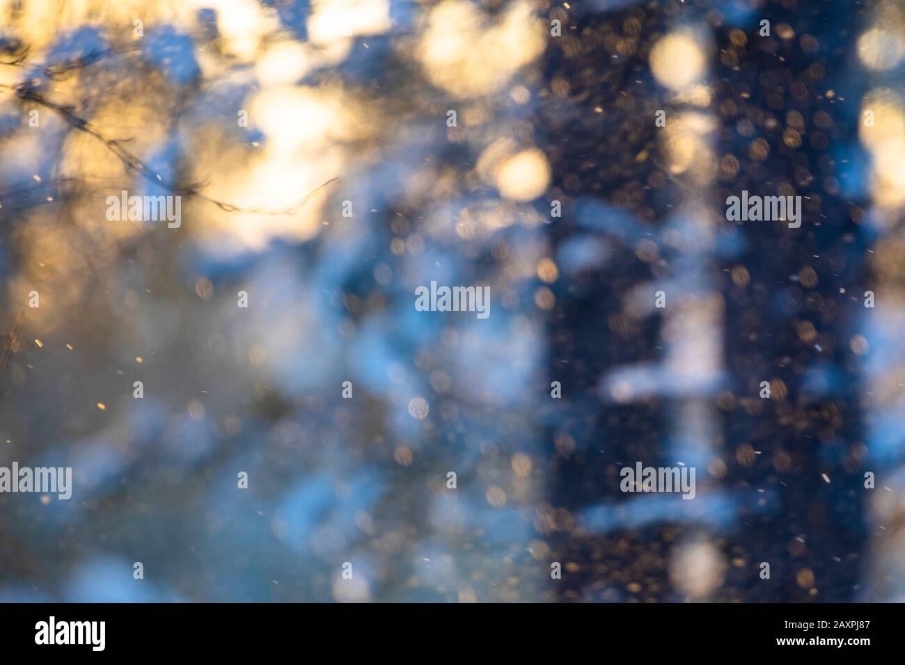 Finland, Lapland, winter, trickling snow, back light, golden Stock ...