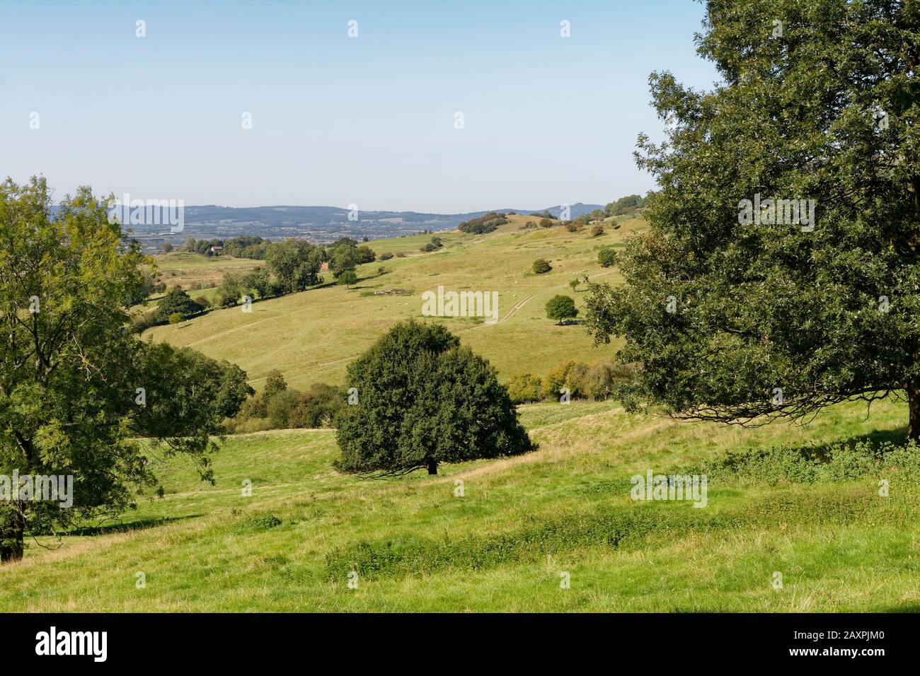 Beacon wood hi-res stock photography and images - Alamy