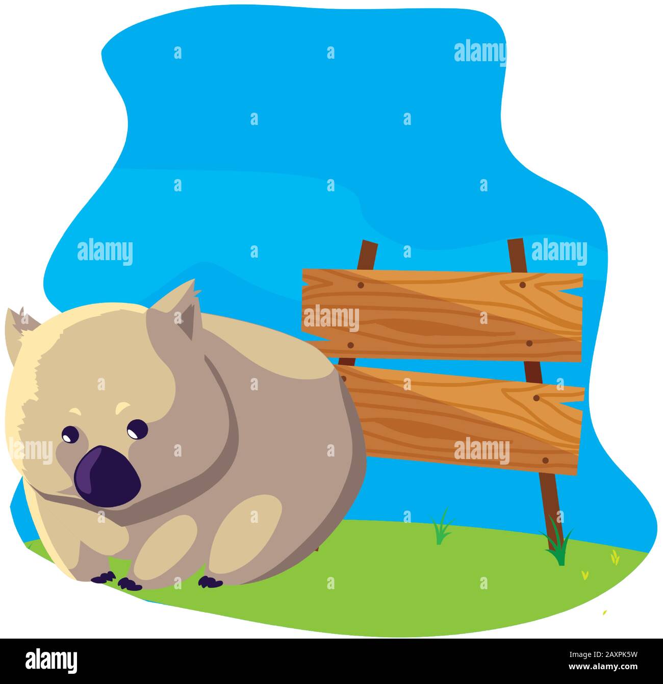 cute australian wombat with background landscape vector illustration ...