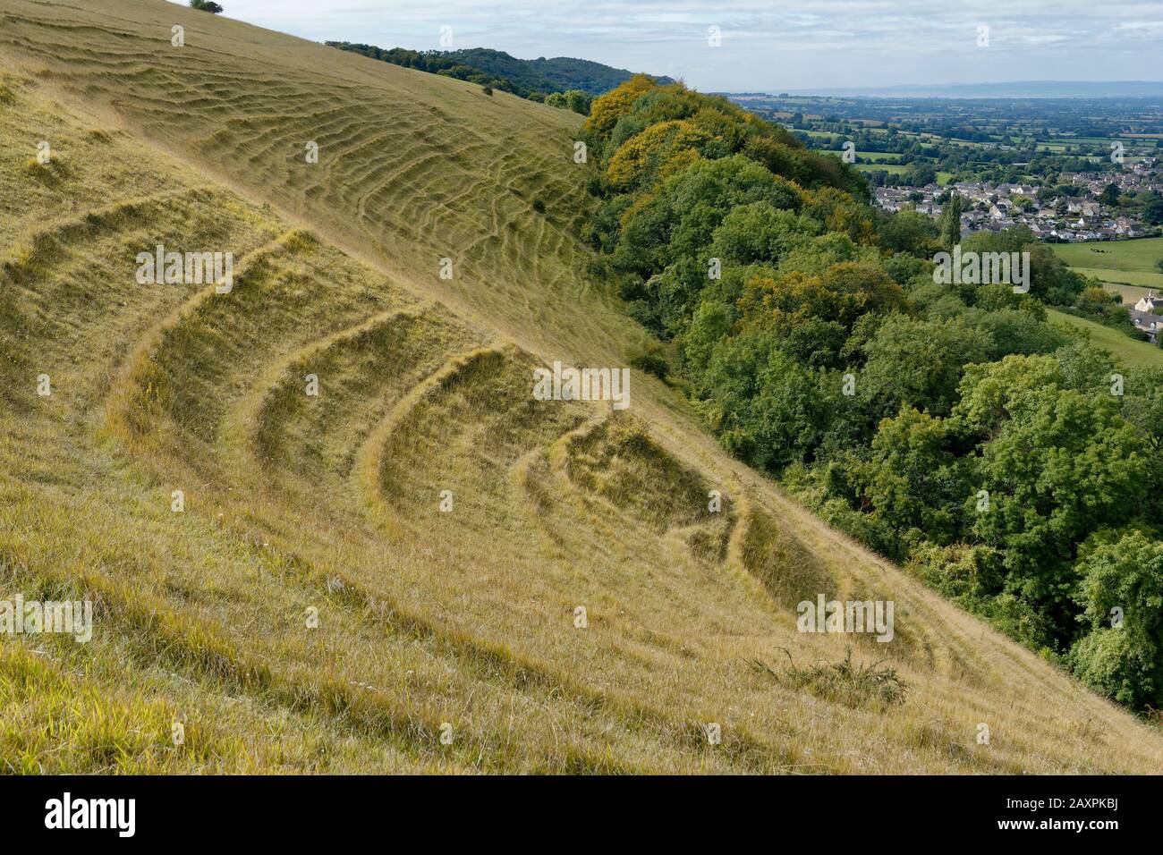Selsley Common with King's Stanley below, Stroud, Gloucestershire, UK ...