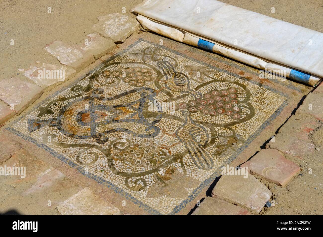 Mosaic in ruins of the basilica of Lin at lake Ohrid, region Korca ...