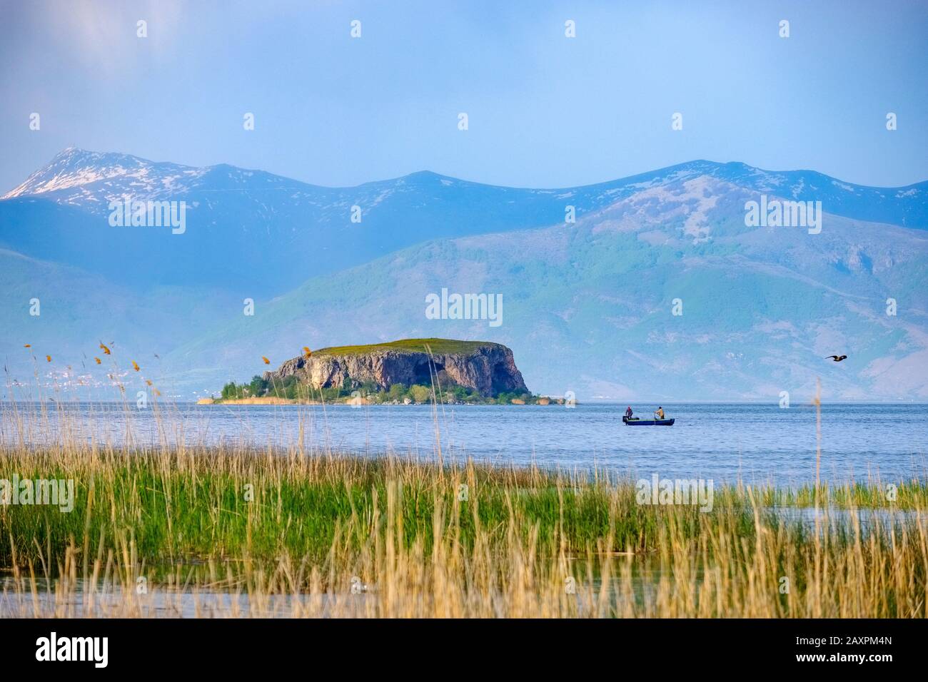 Maligrad Island, Great Prespa Lake, Prespa National Park, near Korça ...
