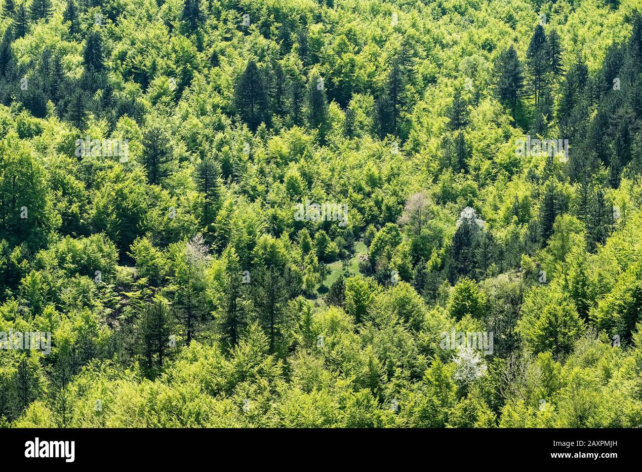 Morava mountains hi-res stock photography and images - Alamy