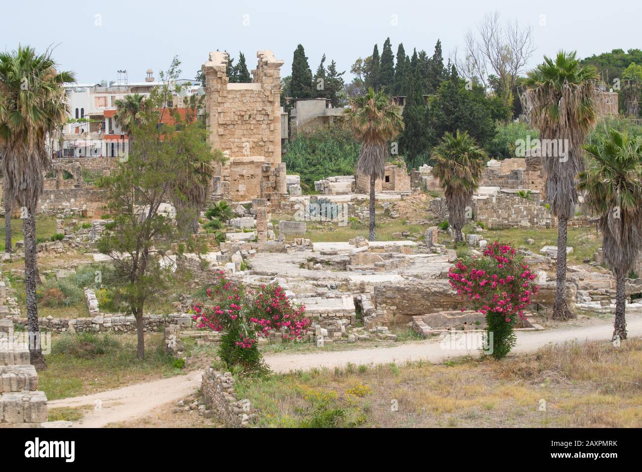 Roman remains in Tyre. Tyre is an ancient Phoenician city. Tyre ...