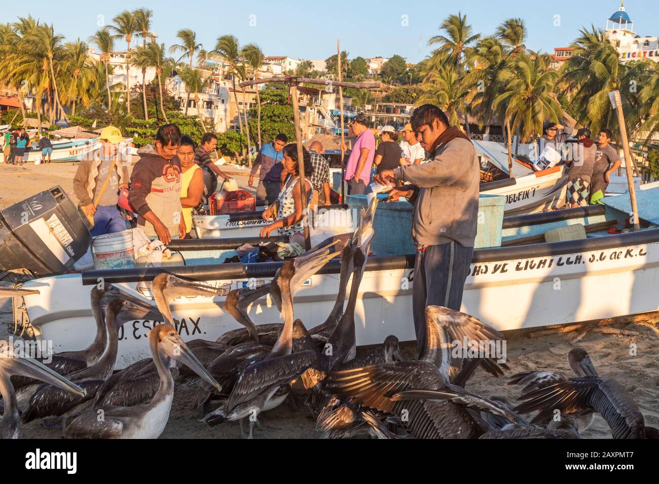 Puerto Escondido, Oaxaca, Mexico - People arrive at dawn on Puerto ...