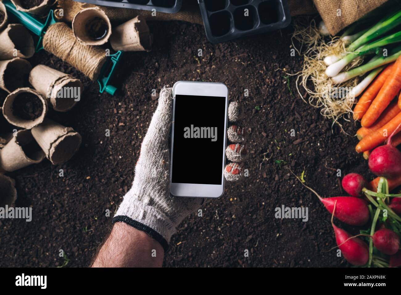 Smartphone mock up for organic homegrown produce cultivation, male ...