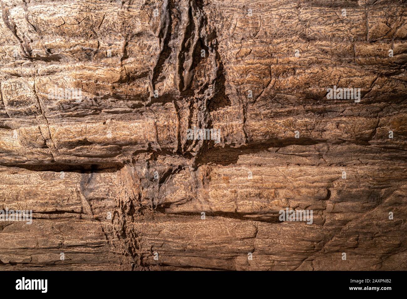 View inside the ancient cave with stone walls with additional lighting ...