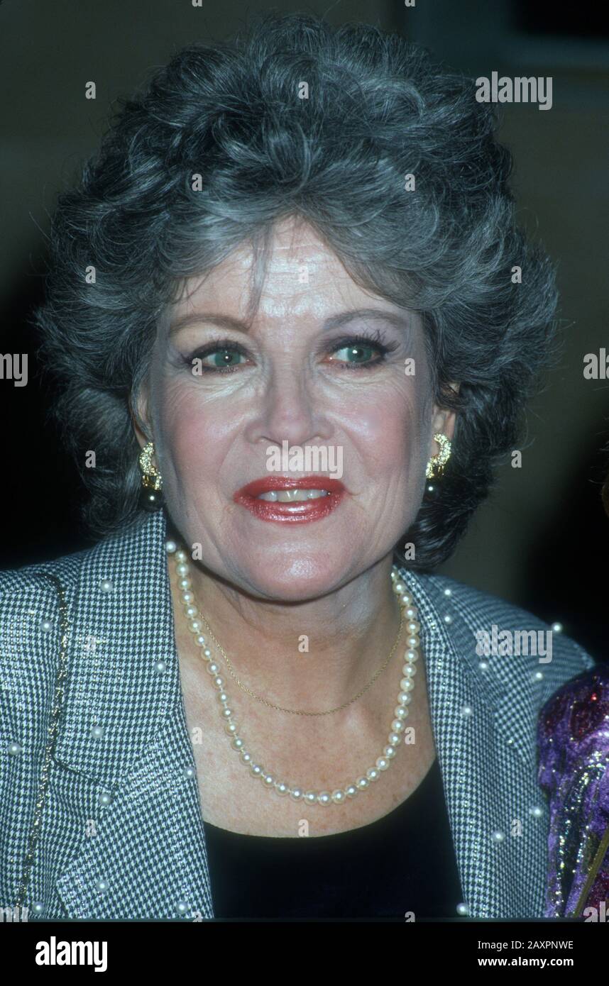 Gloria De Haven 1991, Photo By Michael Ferguson/PHOTOlink Stock Photo ...