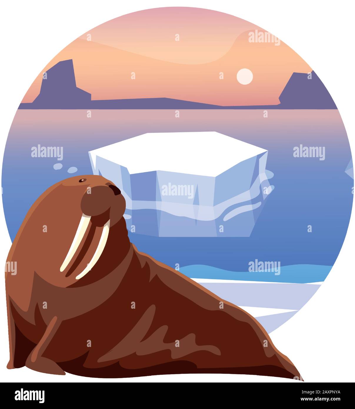 walrus at the north pole, arctic landscape vector illustration design ...