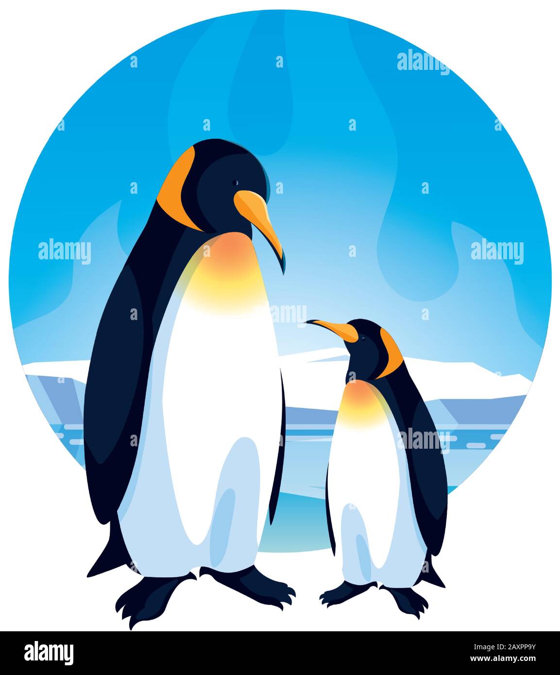 emperor penguins couple on white background vector illustration design ...