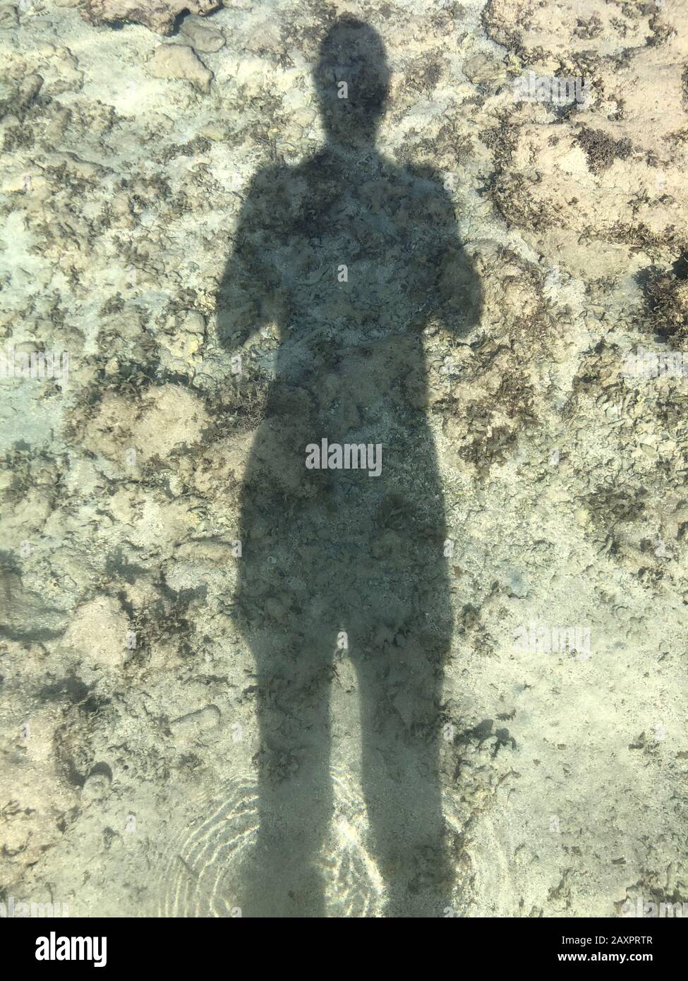 Man Shadow under water on sand Stock Photo - Alamy